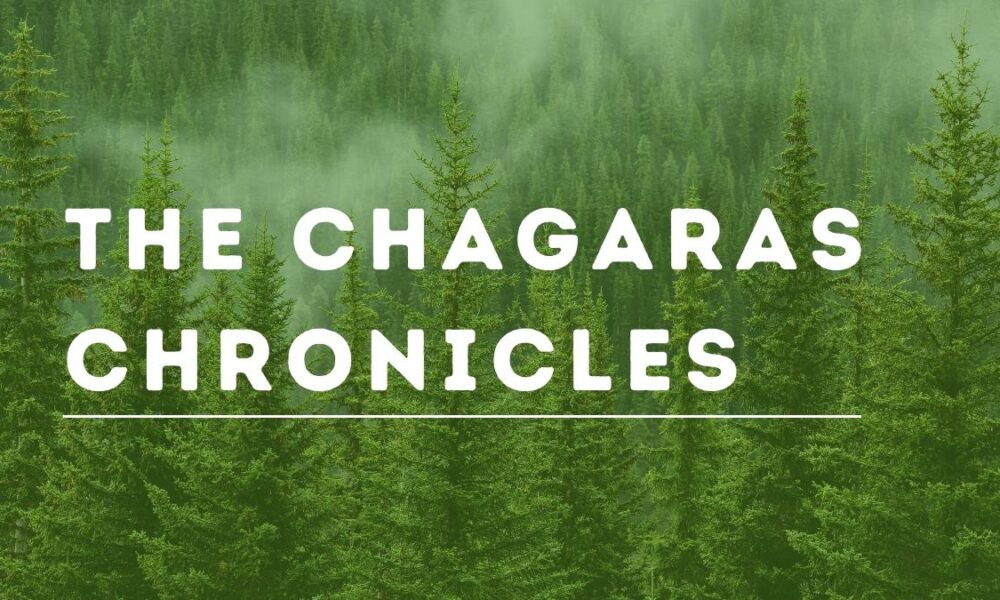 The Chagaras Chronicles: Unearthing the Secrets of Palm Grasshoppers ...